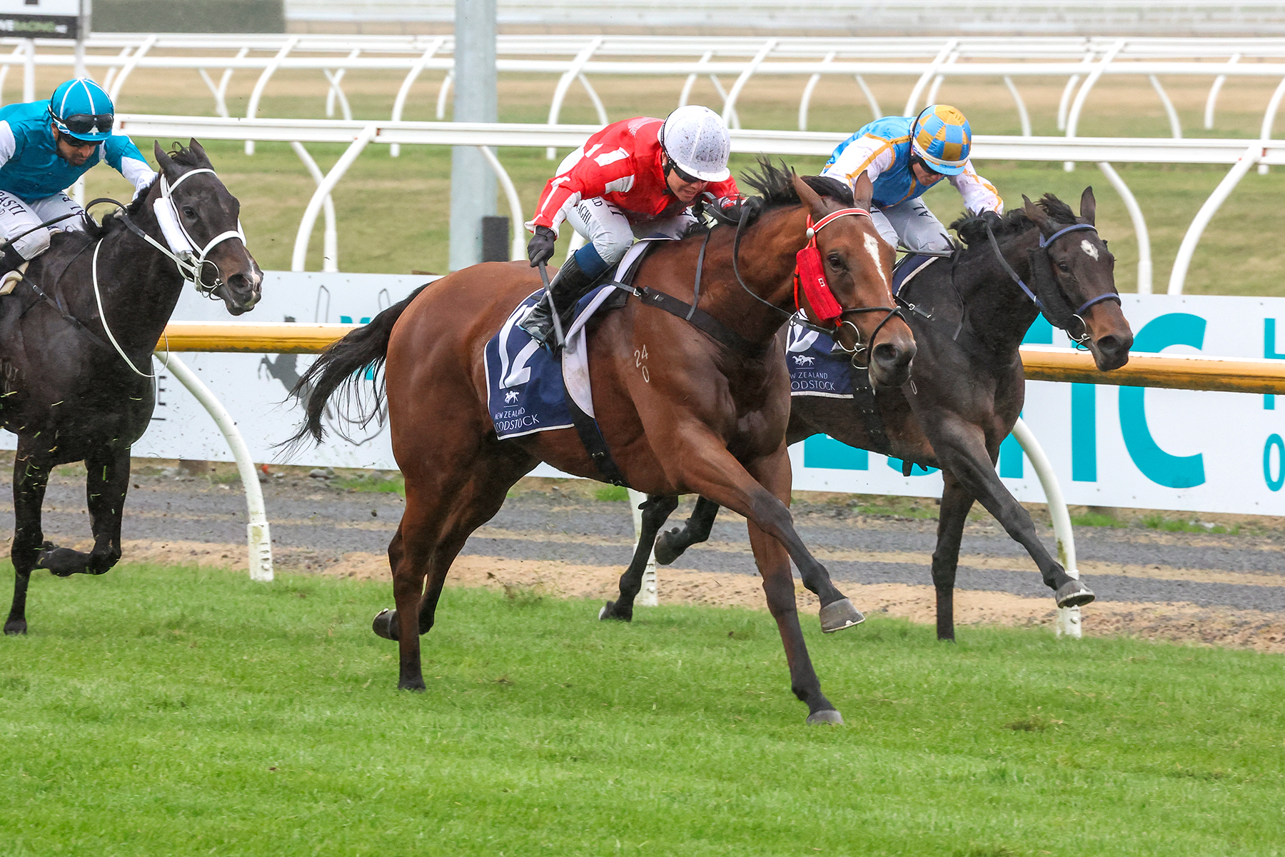 Epee Beel Surges into NZB Southern Filly Series Lead | New Zealand ...