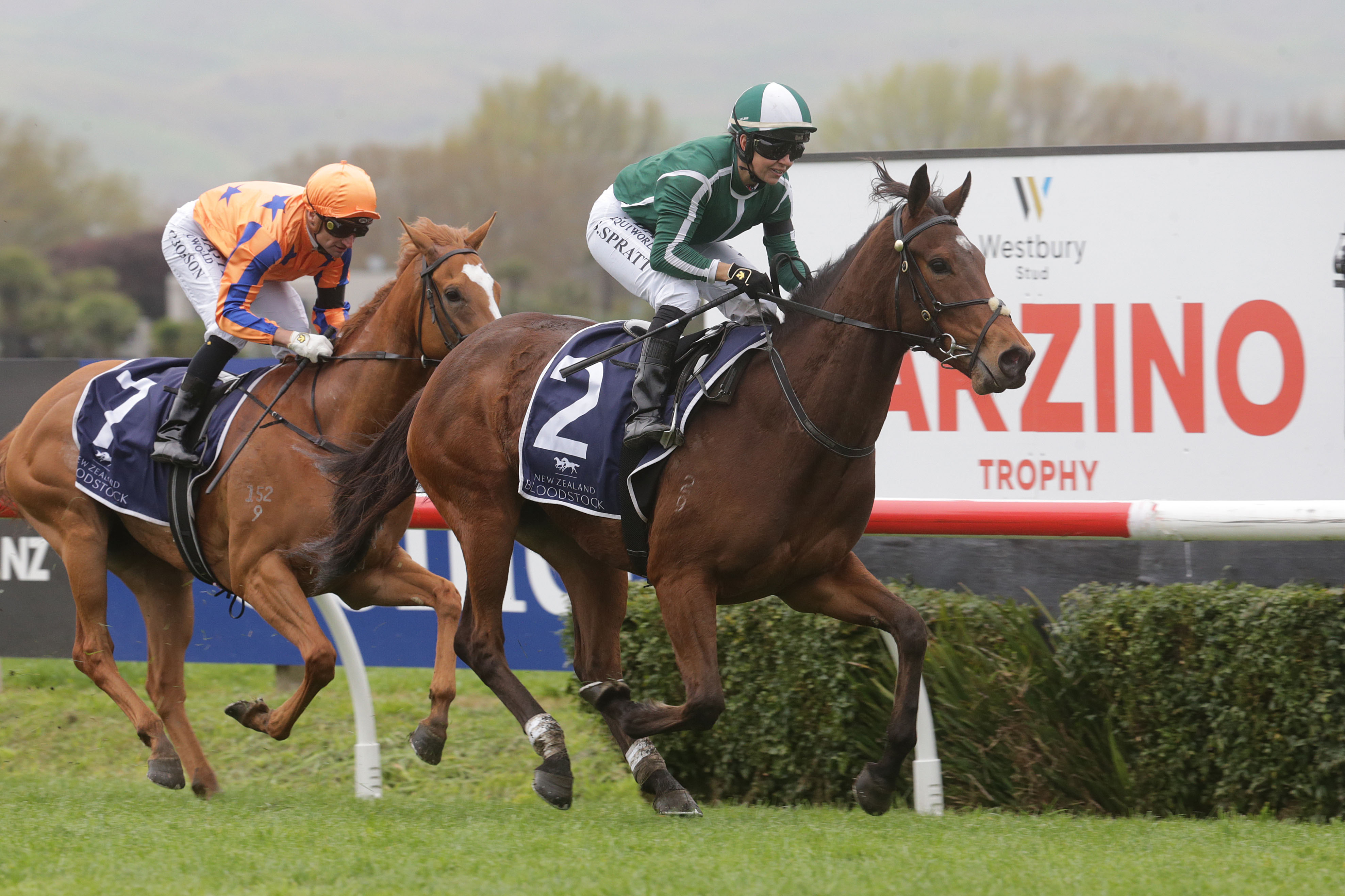 Big Improver Best Seller (NZ) Strikes First in NZB Filly of the Year ...