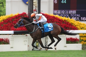 Karaka's Clean Sweep of HK Triple Crown | New Zealand Bloodstock ...
